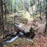 Grafton Loop Trail, Maine - 80 Reviews, Map | AllTrails