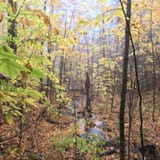 Grafton Loop Trail, Maine - 80 Reviews, Map | AllTrails