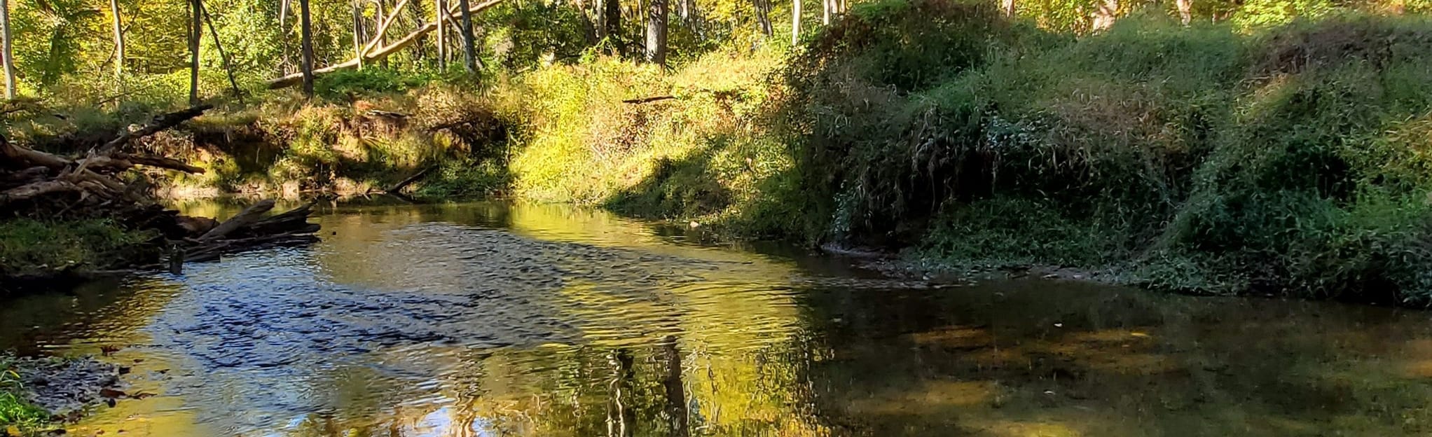 Seneca Creek Greenway Trail: Watkins Mill Road to Frederick Road: 351 ...