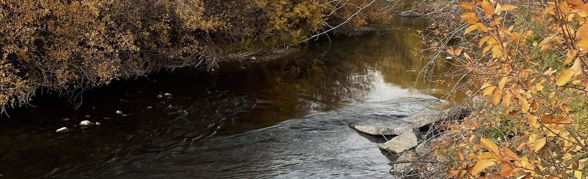 Cherry River Recreation Area Loop: 71 Reviews, Map - Montana | AllTrails