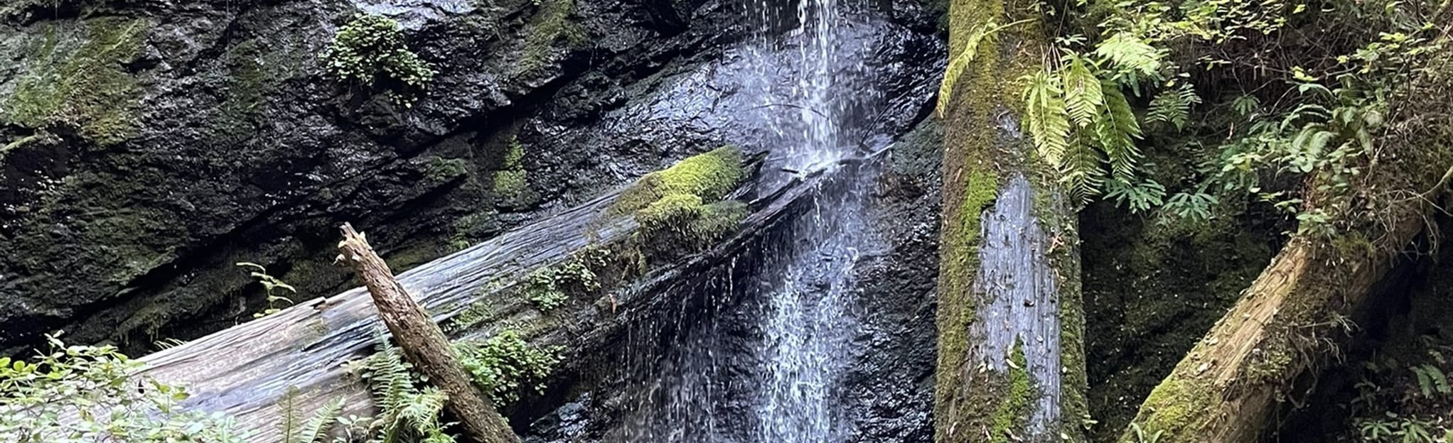 Russian Gulch Waterfall Loop Trail: 808 Reviews, Map - California ...