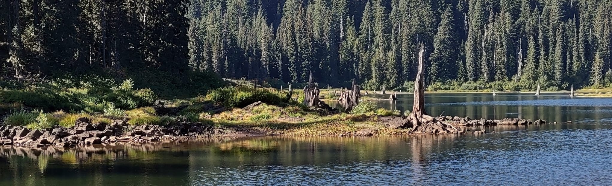 Goose Lake Campground - Washington | AllTrails