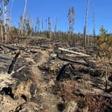 Boulder Lake, Montana - 48 Reviews, Map | AllTrails