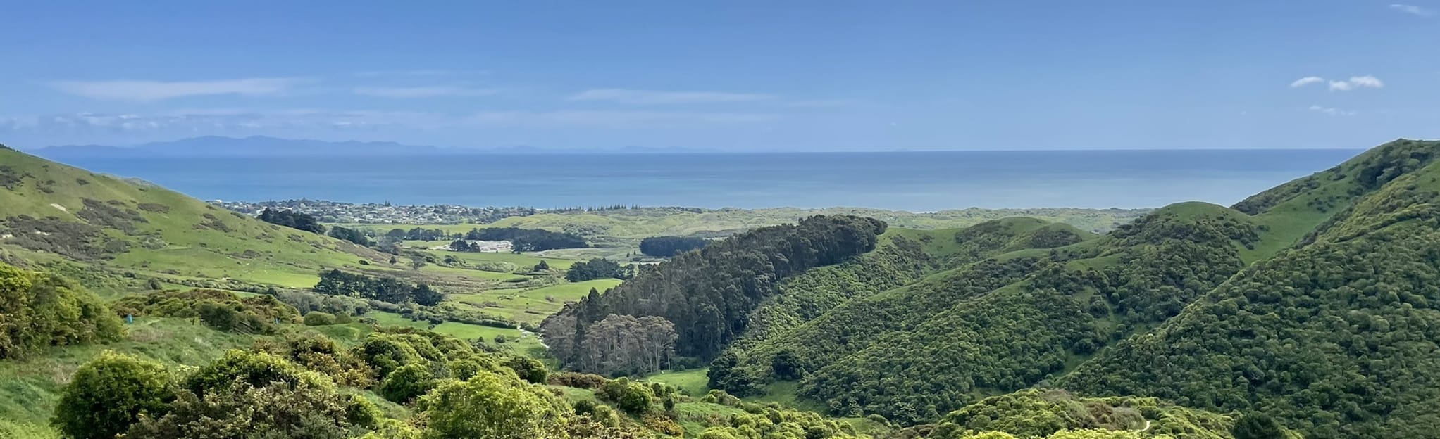 Whareroa Farm Loop: 25 Reviews, Map - Wellington, New Zealand | AllTrails