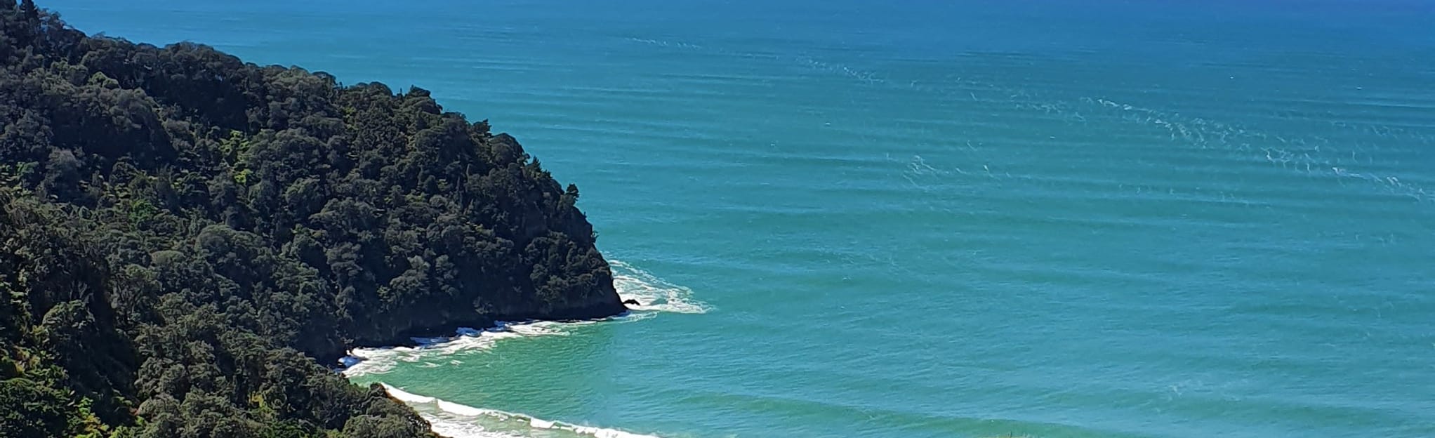 Homunga Bay Beach, Waikato, New Zealand - 21 Reviews, Map | AllTrails