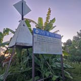 UMS Peak Extended Trail, Sabah, Malaysia - 6 Reviews, Map | AllTrails