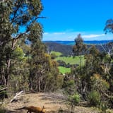 Long Gully Track Loop, Victoria, Australia - 58 Reviews, Map | AllTrails