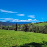 Long Gully Track Loop, Victoria, Australia - 58 Reviews, Map | AllTrails