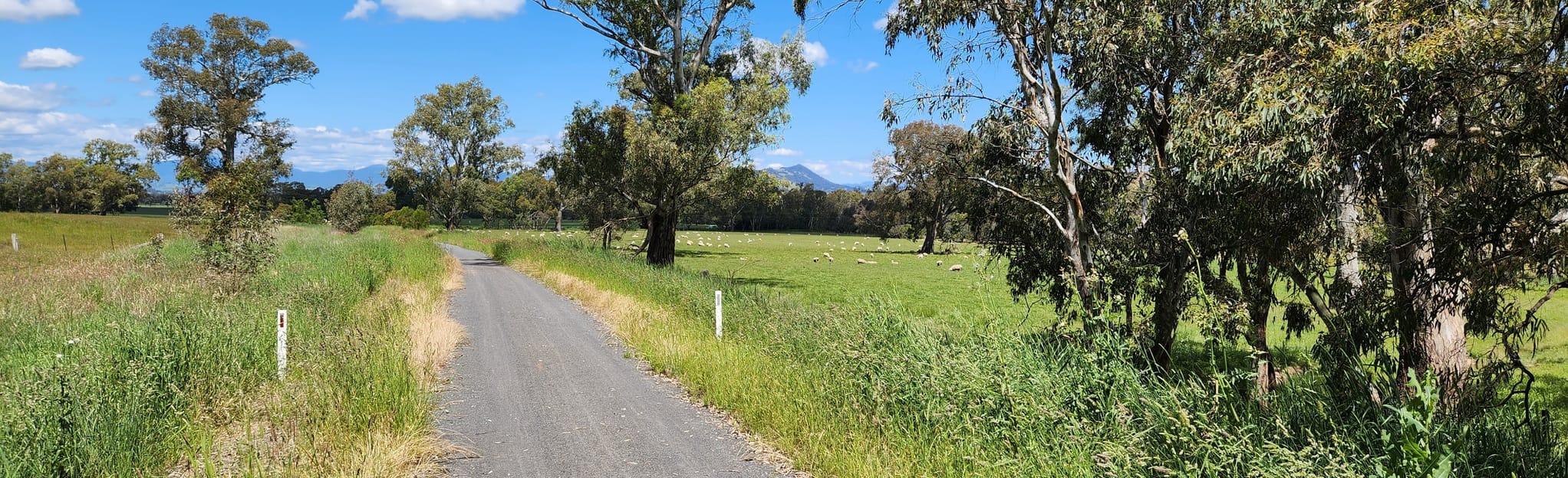 Bonnie Doon to Mansfield via Great Victorian Rail Trail, Victoria ...
