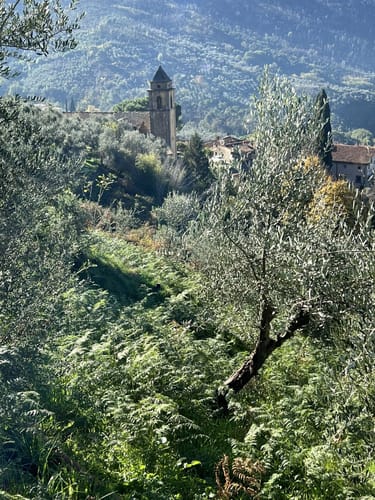 2023 Best Bike Touring Trails in Calci | AllTrails