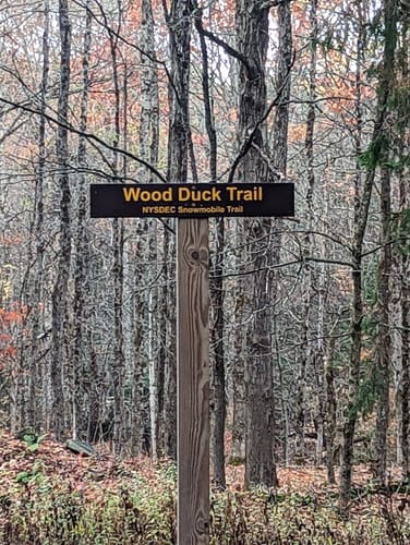 Best Hikes and Trails in Partridge Run Wildlife Management Area | AllTrails