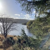 Fernworthy Reservoir Circular, Devon, England - 51 Reviews, Map | AllTrails