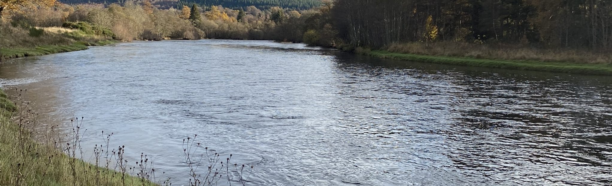 River Beauly Circular : 32 Photos - Highlands, Écosse | Randonnée ...