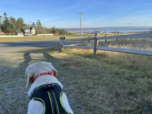 Best Hikes and Trails in Admiralty Inlet Natural Area Preserve | AllTrails