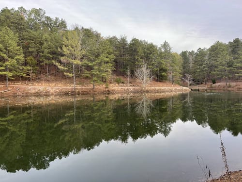 Best Hikes and Trails in Minooka Park | AllTrails