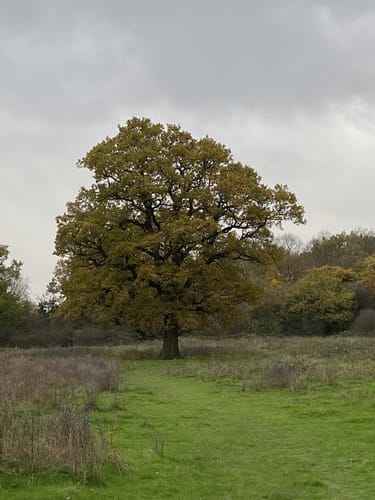 Best Hikes and Trails in Moat Mount Open Space | AllTrails