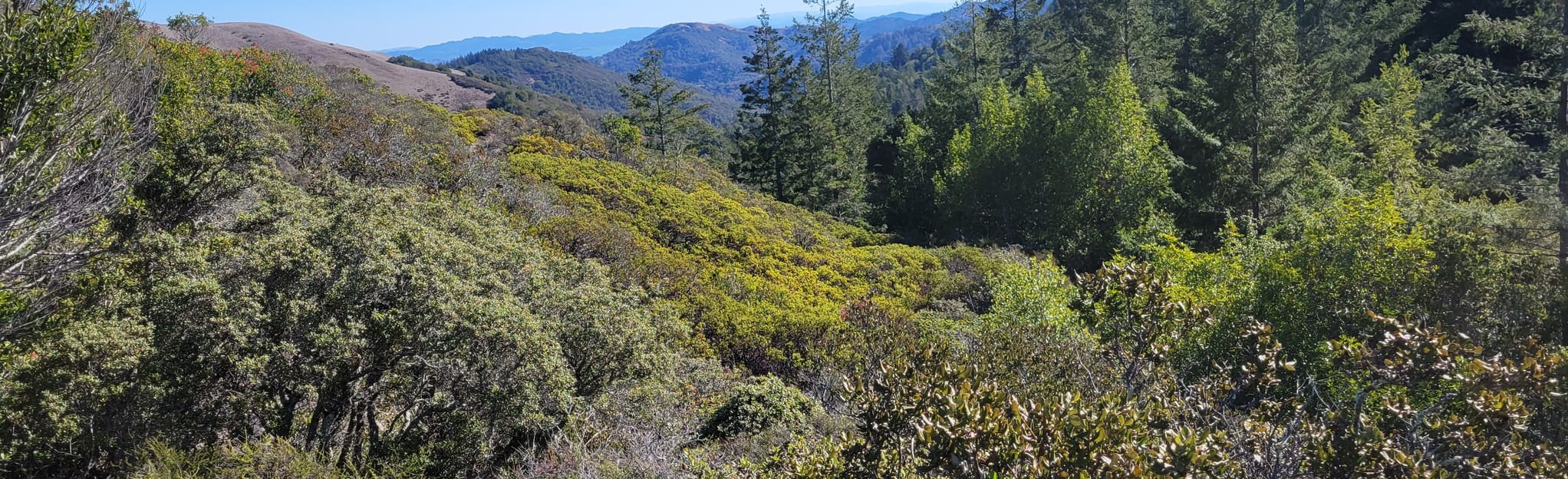 White Hill, Blue Ridge and Split Rock Loop , California - 50 Reviews ...