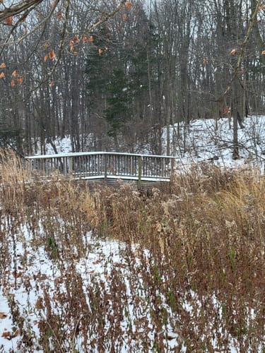Best Hikes and Trails in Avon Nature Study Area | AllTrails
