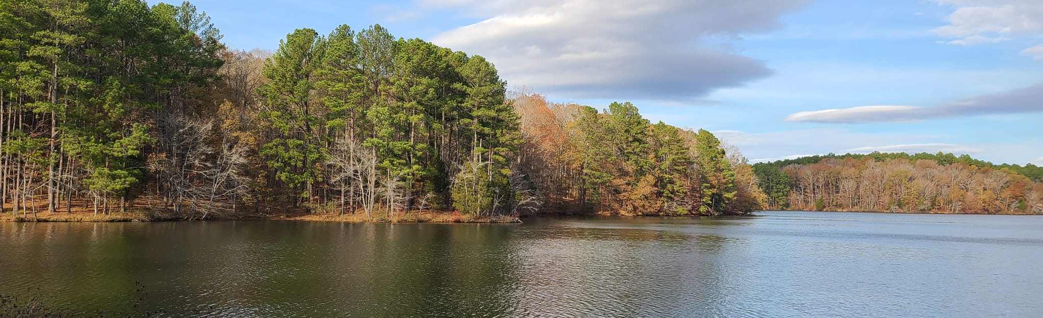 AllTrails | Pin Oak Trail: 117 Reviews, Map - Tennessee