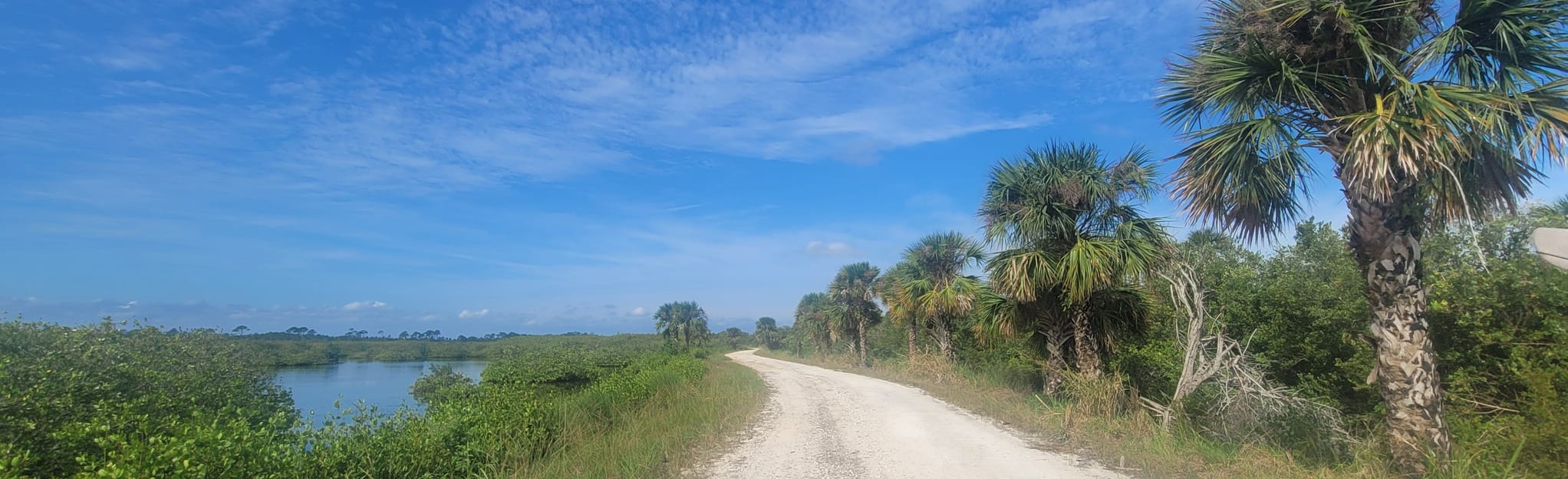 Bio Lab Road, Florida - 45 Reviews, Map | AllTrails