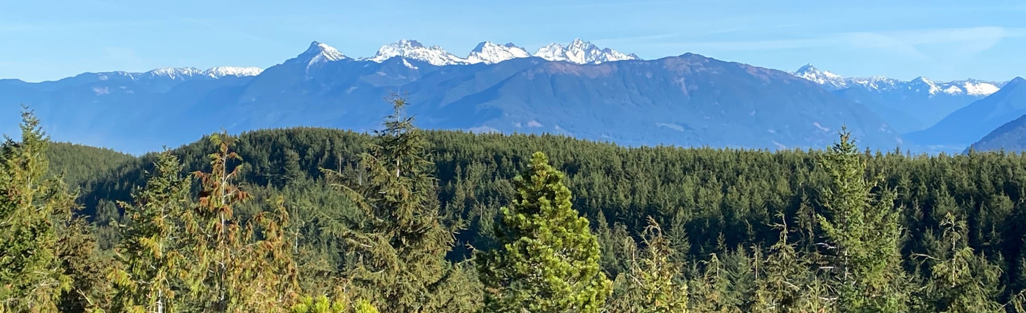 Vedder Mountain Ridge Trail: 721 Reviews, Map - British Columbia ...