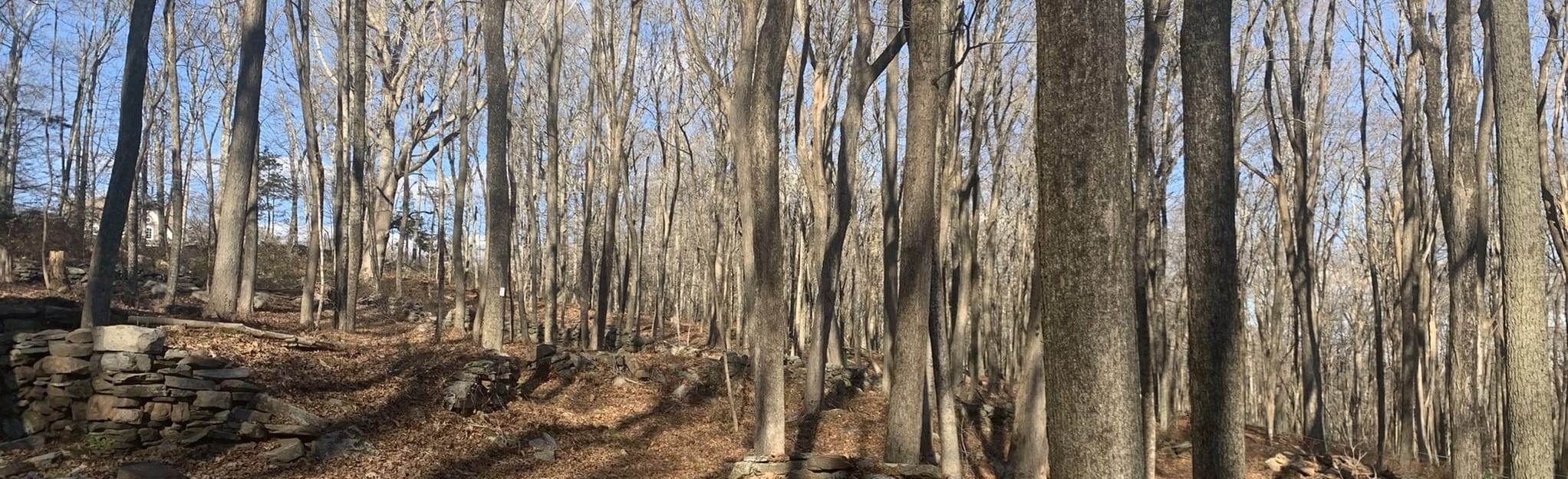 Mount Archer Loop, Connecticut - 197 Reviews, Map | AllTrails