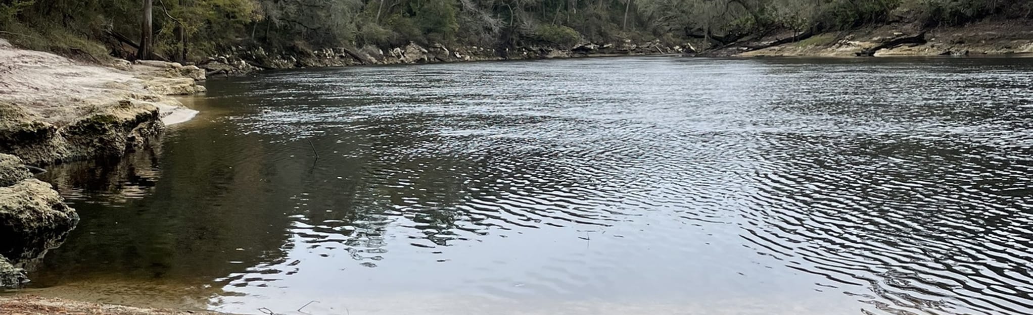 Lime Sink Run Trail, Florida - 89 Reviews, Map | AllTrails