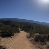Garwood Dam To Douglas Spring Loop Trail, Arizona - 459 Reviews, Map ...