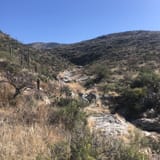 Garwood Dam To Douglas Spring Loop Trail, Arizona - 459 Reviews, Map ...