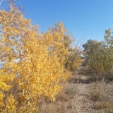 Eagle Lake, Alberta, Canada - 67 Reviews, Map | AllTrails