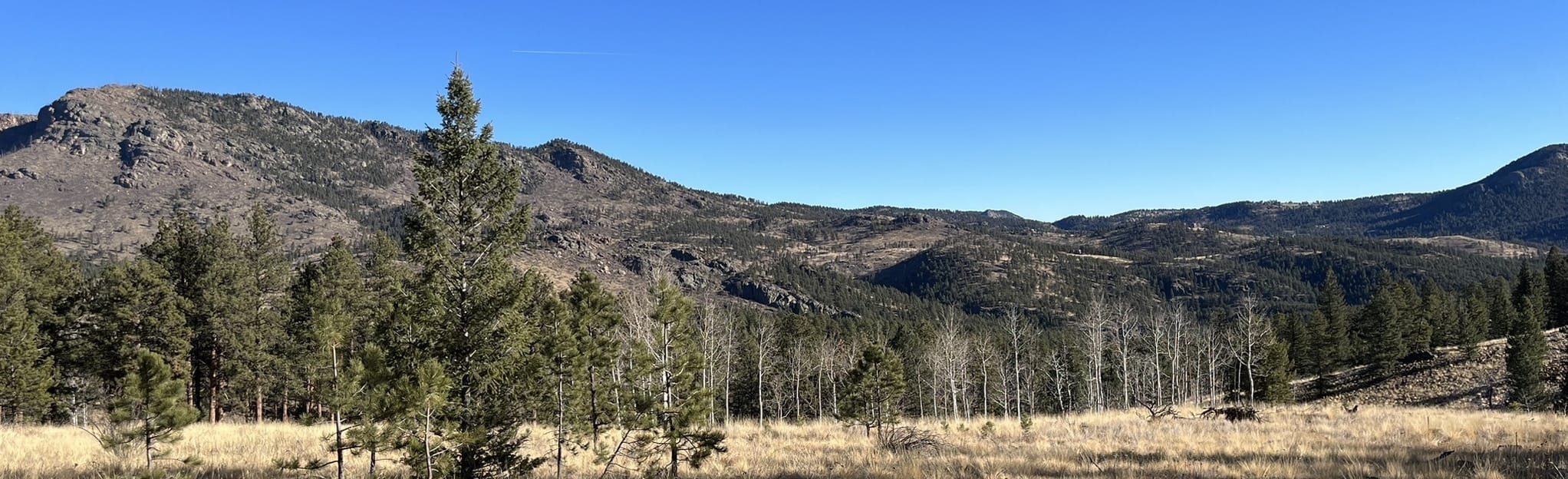 Brookside-McCurdy Trail: 189 Reviews, Map - Colorado | AllTrails