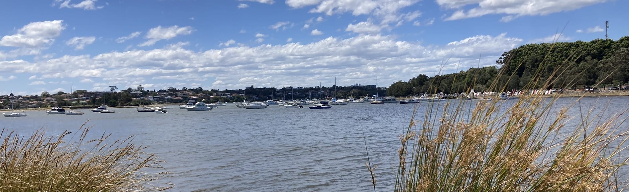 The Greenway: Cadigal Reserve to Iron Cove: 83 Reviews, Map - New South ...