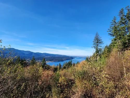 Best Hikes and Trails in Lake Whatcom Park | AllTrails