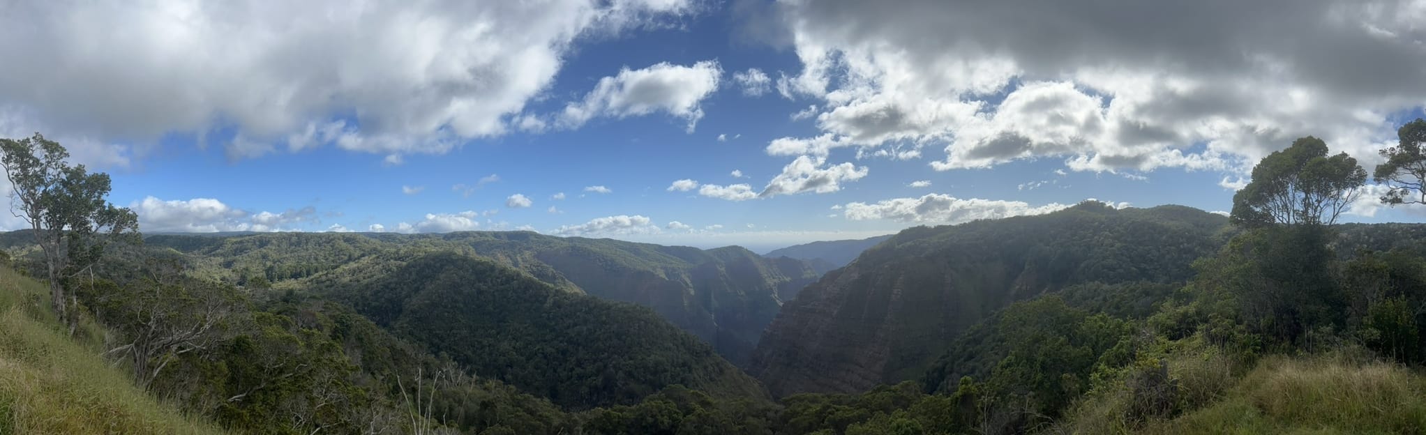 Pu'u Ka Ohelo Berry Flat Trail: 135 Reviews, Map - Kaua'i, Hawaii ...