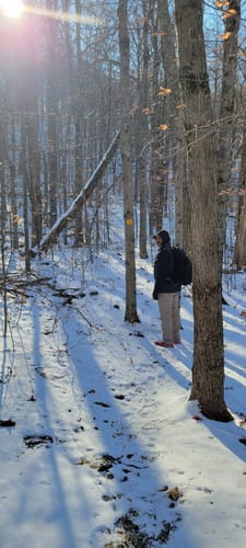 Best Hikes and Trails in Batten Kill State Forest | AllTrails