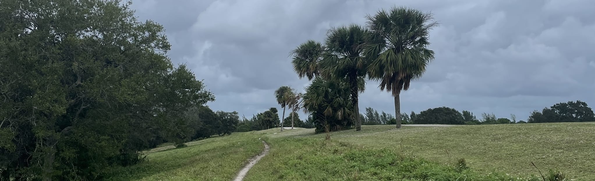 Dyer Park Trail, Florida - 522 Reviews, Map | AllTrails