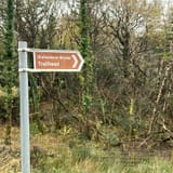 Lough Eske Nature Loop, County Donegal, Ireland - 137 Reviews, Map ...