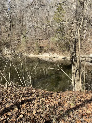 2023 Best Horseback Riding Trails in Hodges | AllTrails