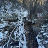 Burch Creek Trail, Utah - 749 Reviews, Map | AllTrails