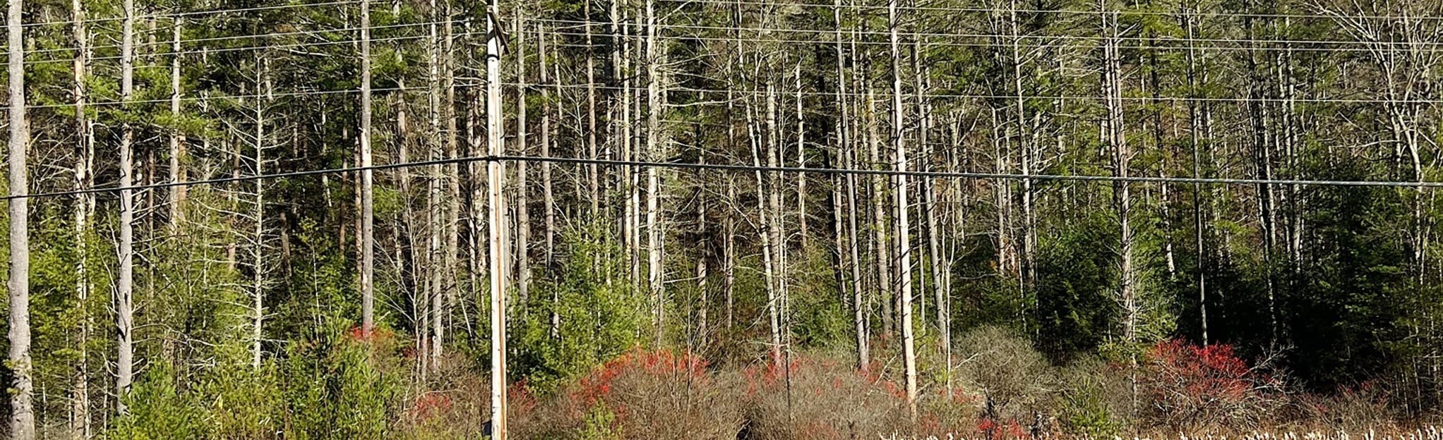 Jacoby Falls Trail: 487 Reviews, Map - Pennsylvania | AllTrails