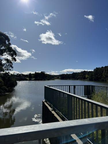 Best Hikes and Trails in Pine Island - Point Hut | AllTrails