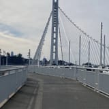 Bay Bridge Trail, California - 729 Reviews, Map | AllTrails