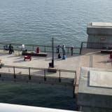 Bay Bridge Trail, California - 729 Reviews, Map | AllTrails