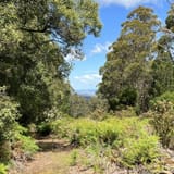 Mount Direction Track, Tasmania, Australia - 122 Reviews, Map | AllTrails