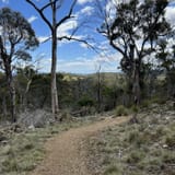 Mount Direction Track, Tasmania, Australia - 122 Reviews, Map | AllTrails