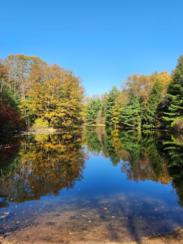 Best Hikes and Trails in Clear Springs Nature Preserve | AllTrails