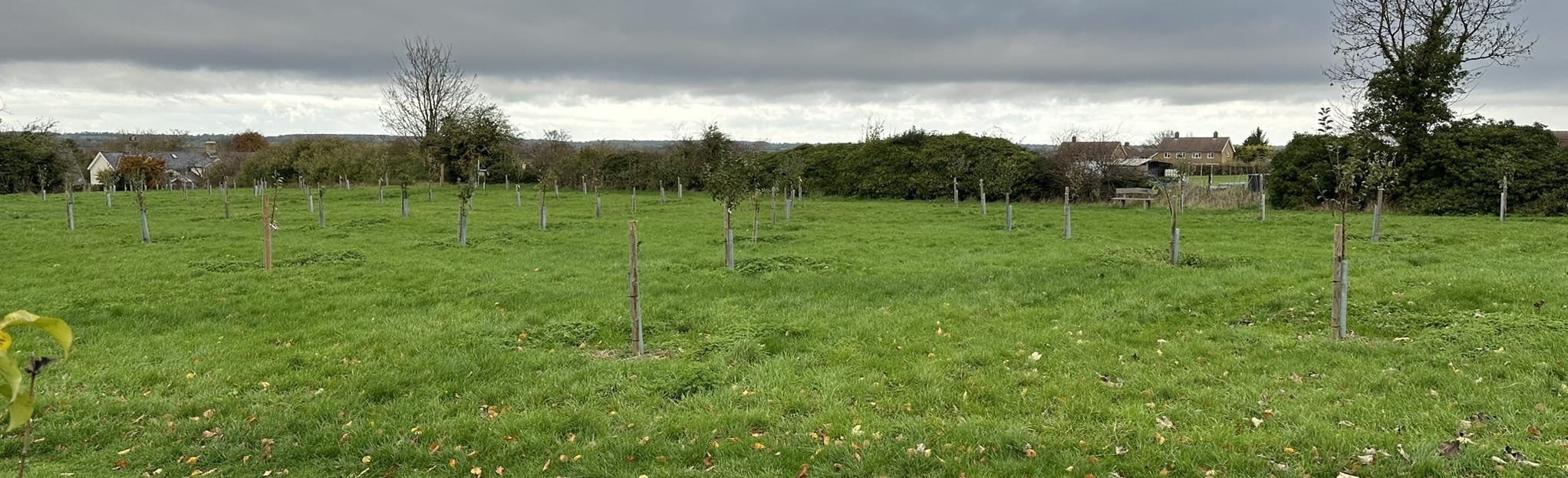 Steeple Morden Circular, Hertfordshire, England - 4 Reviews, Map ...