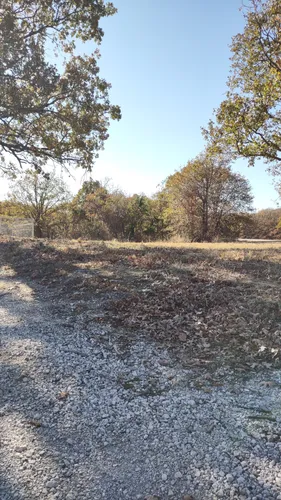 Best Hikes and Trails in Keystone Ancient Forest | AllTrails