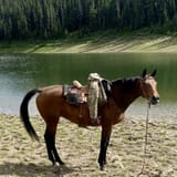 Onion Lake Trail, Alberta, Canada - 21 Reviews, Map | AllTrails