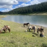 Onion Lake Trail, Alberta, Canada - 21 Reviews, Map | AllTrails